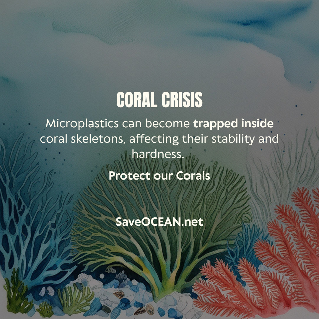 Deep Dive: Understanding the Impact of Microplastics on Coral Reefs ...