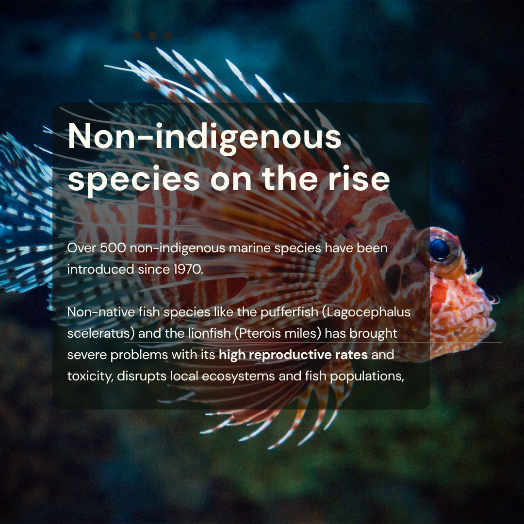 8 Must-Know Facts About the Mediterranean Sea – SaveOCEAN