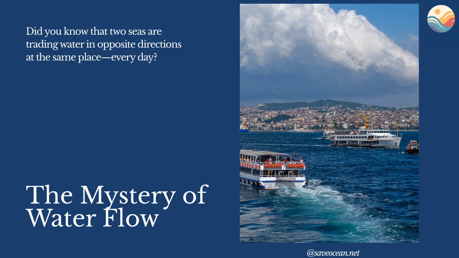 Understanding the Black Sea: Facts, Figures, and 2025 Updates – SaveOCEAN